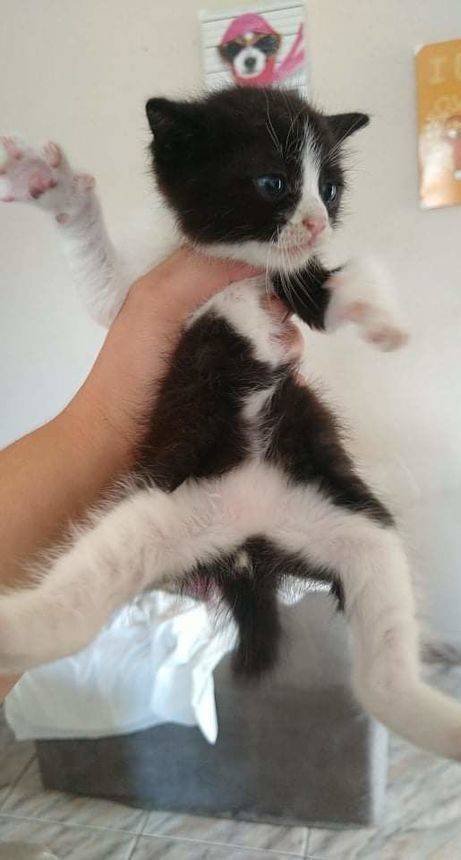 Amigo não se compra