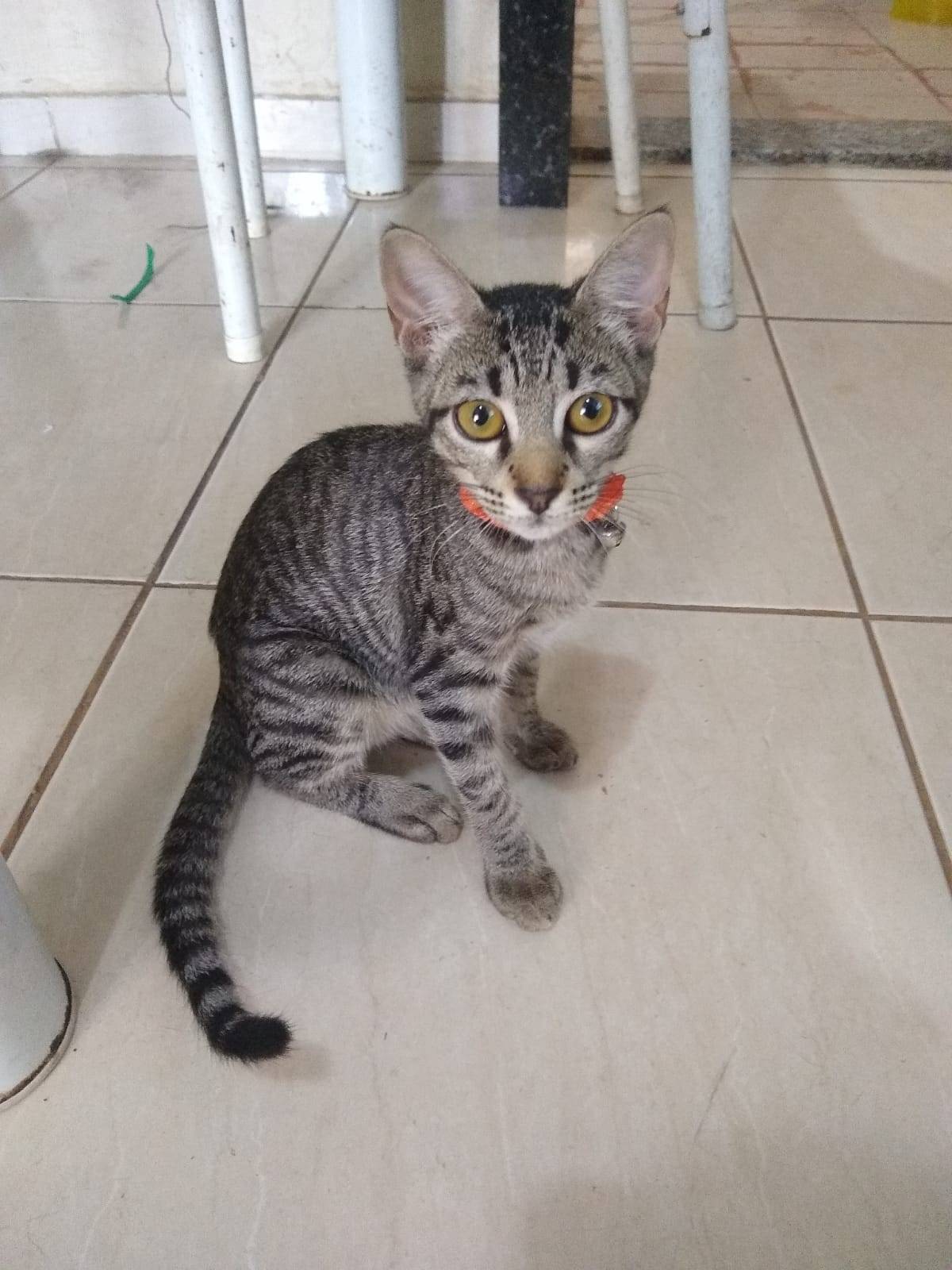 Amigo não se compra