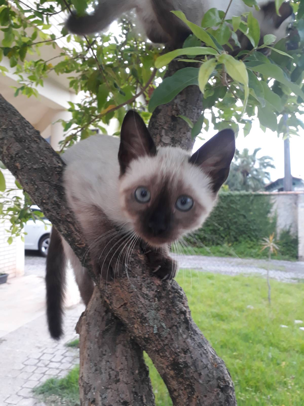 Amigo não se compra