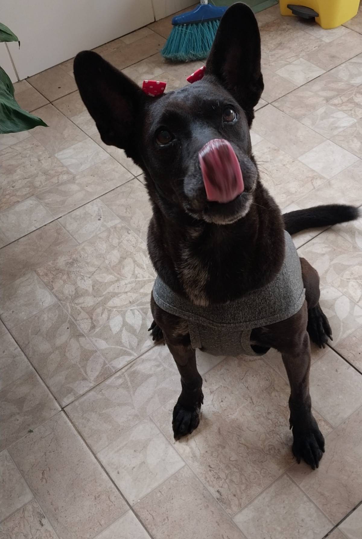 Amigo não se compra