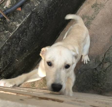 Amigo não se compra